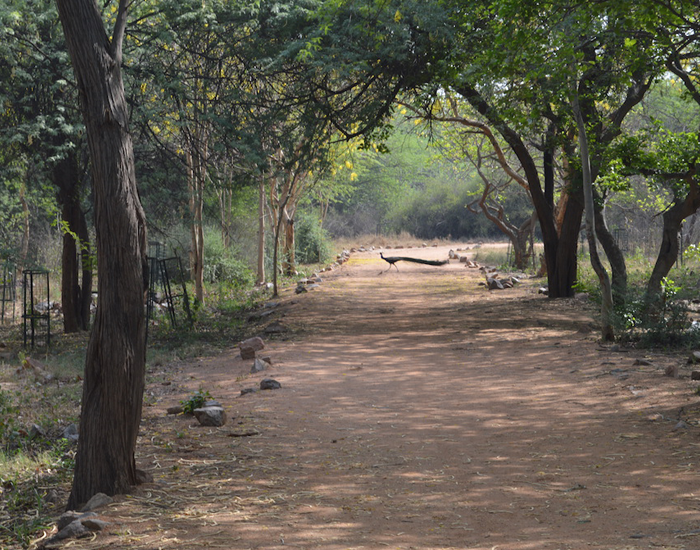10 Best Jogging Tracks in Delhi | FITPASS